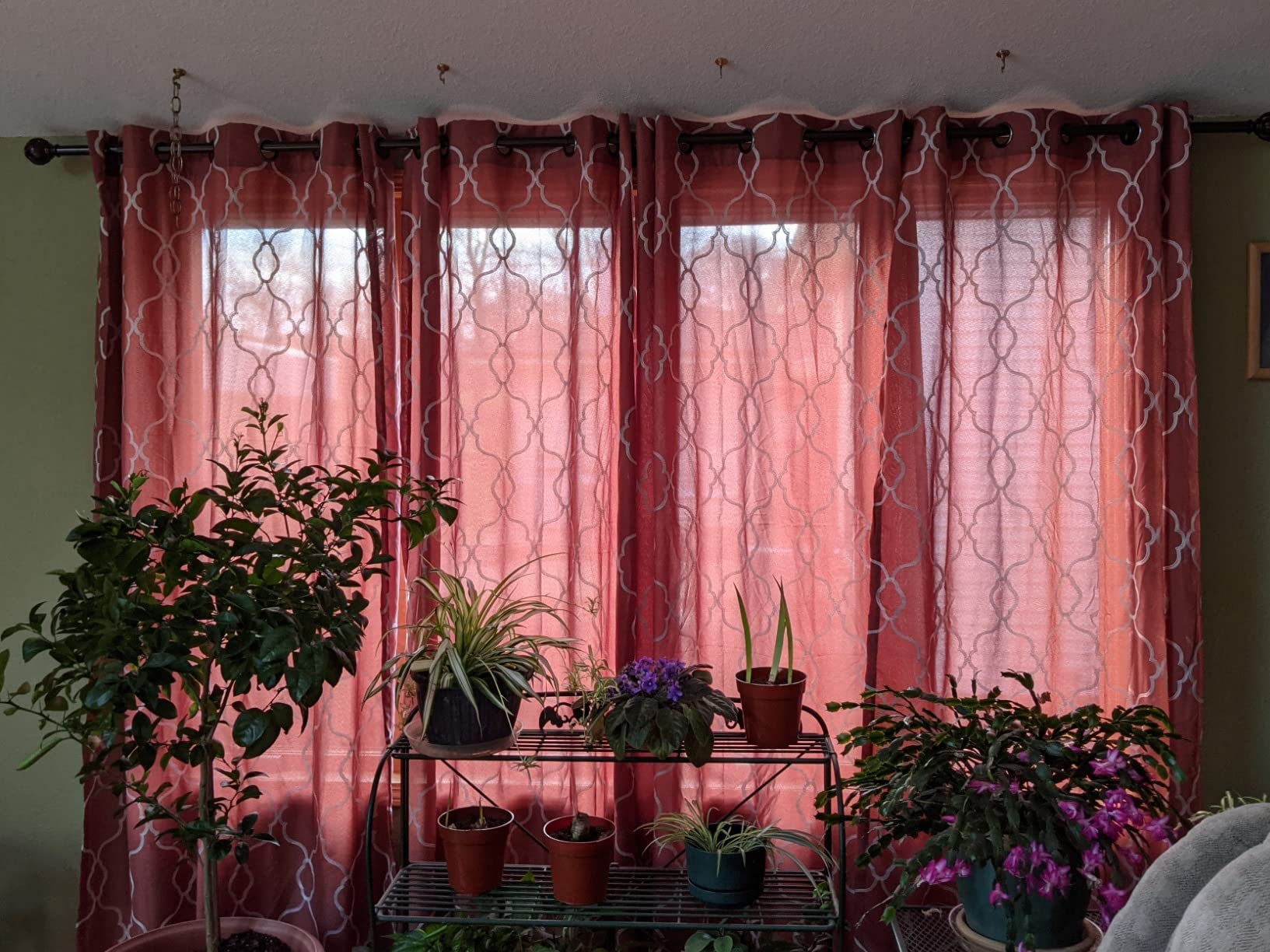 Reviews Page | Anna's Linens Store