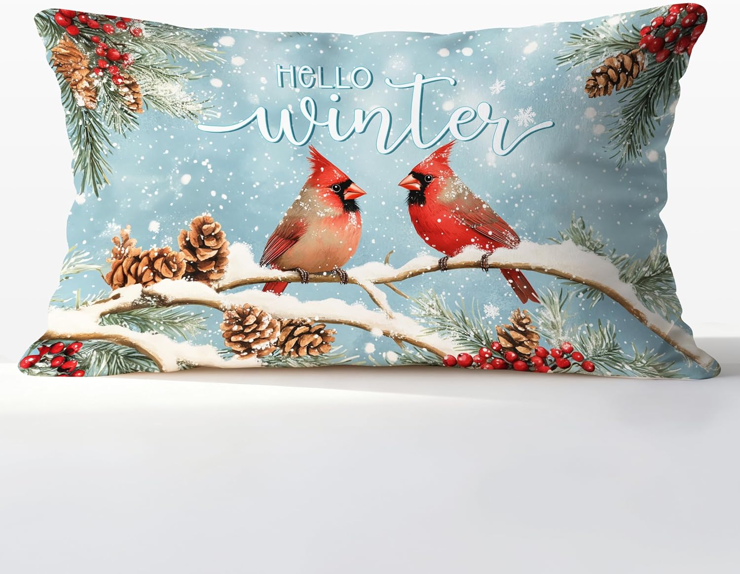 Amazon.com: Fyecoluo Hello Winter Cardinal Christmas Pillow Covers ...