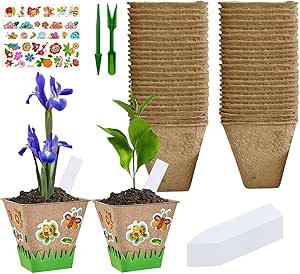 AONYIYI DIY Propagation Pot Set, 50 Pieces 8 x 8 cm Square ...