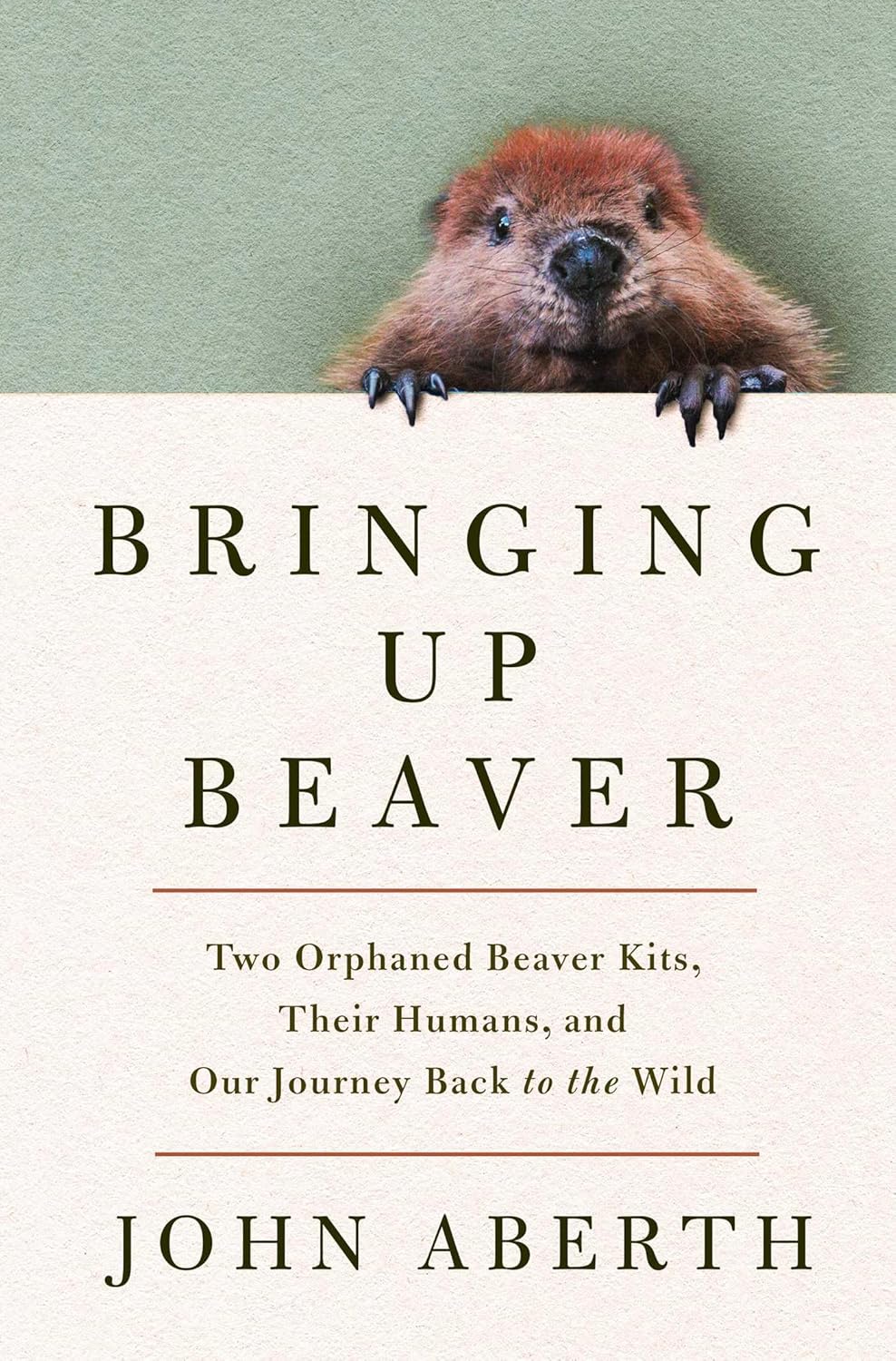 Bringing Up Beaver: Two Orphaned Beaver Kits, Their Humans, and Our ...