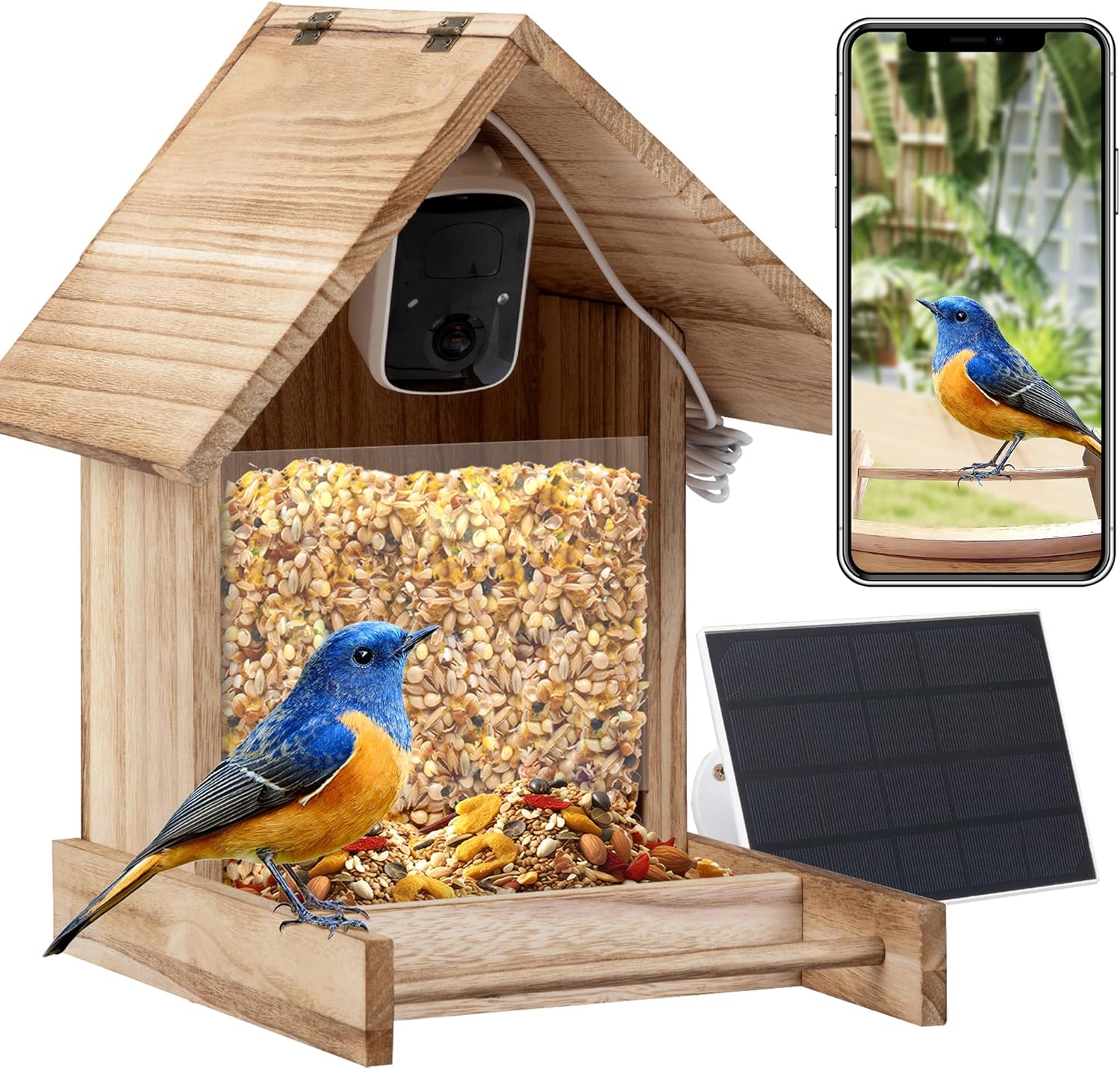 Amazon.com : COZIWOW Bird Feeder with Camera,1080P HD AI Identify Birds ...