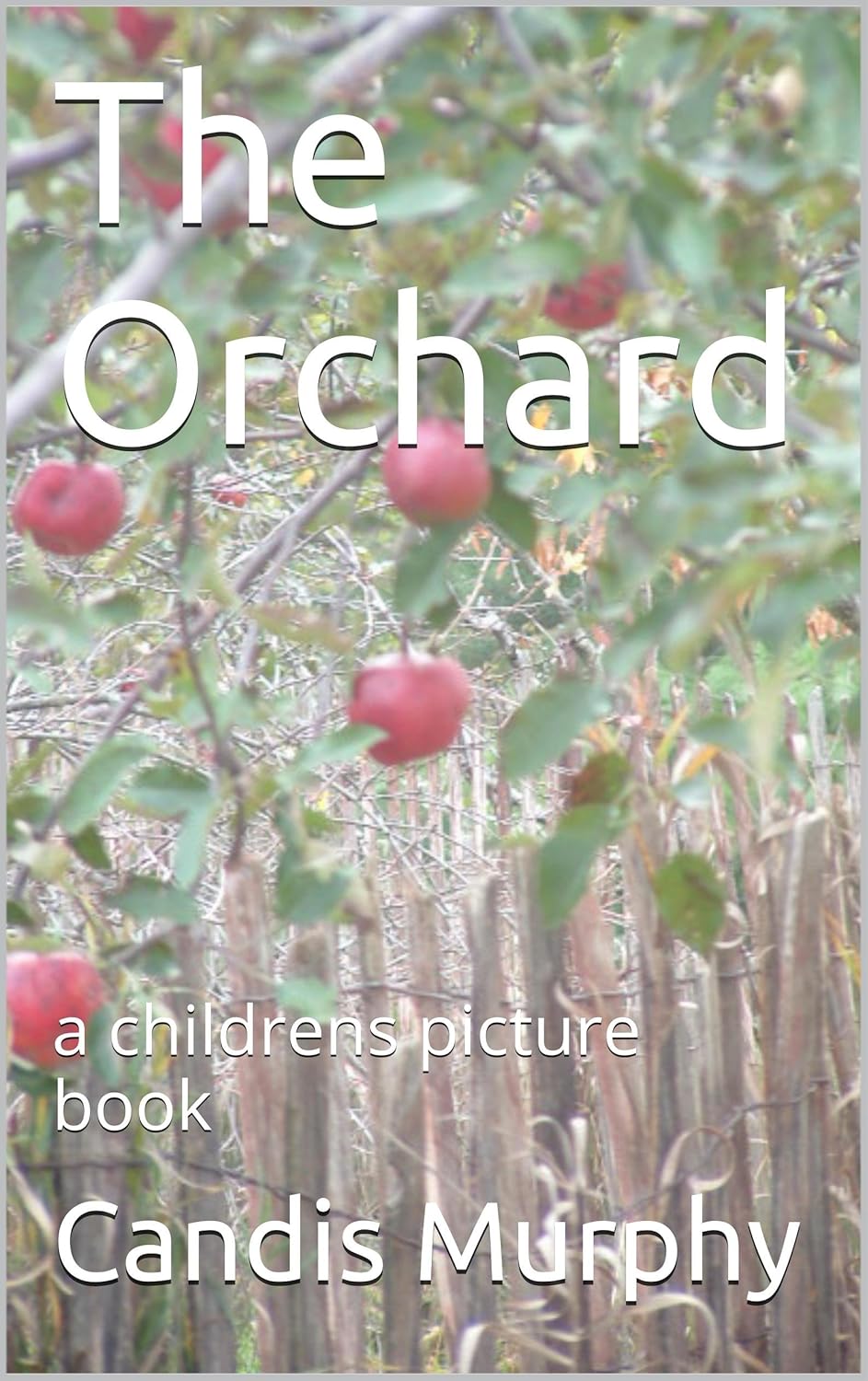 The Orchard: a childrens picture book eBook : Murphy, Candis: Amazon.ca ...