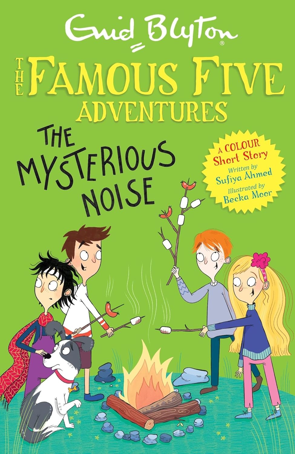 Famous Five Colour Short Stories: The Mysterious Noise (Famous Five ...