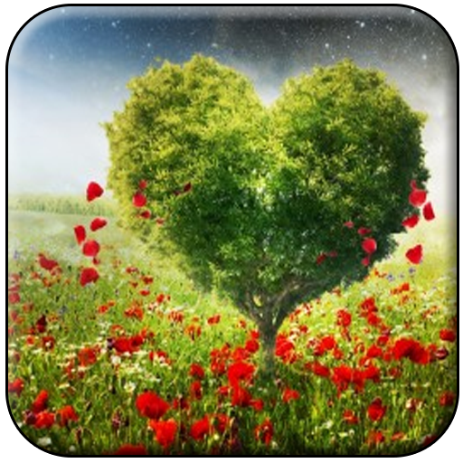 Tree Wallpaper App - App on Amazon Appstore