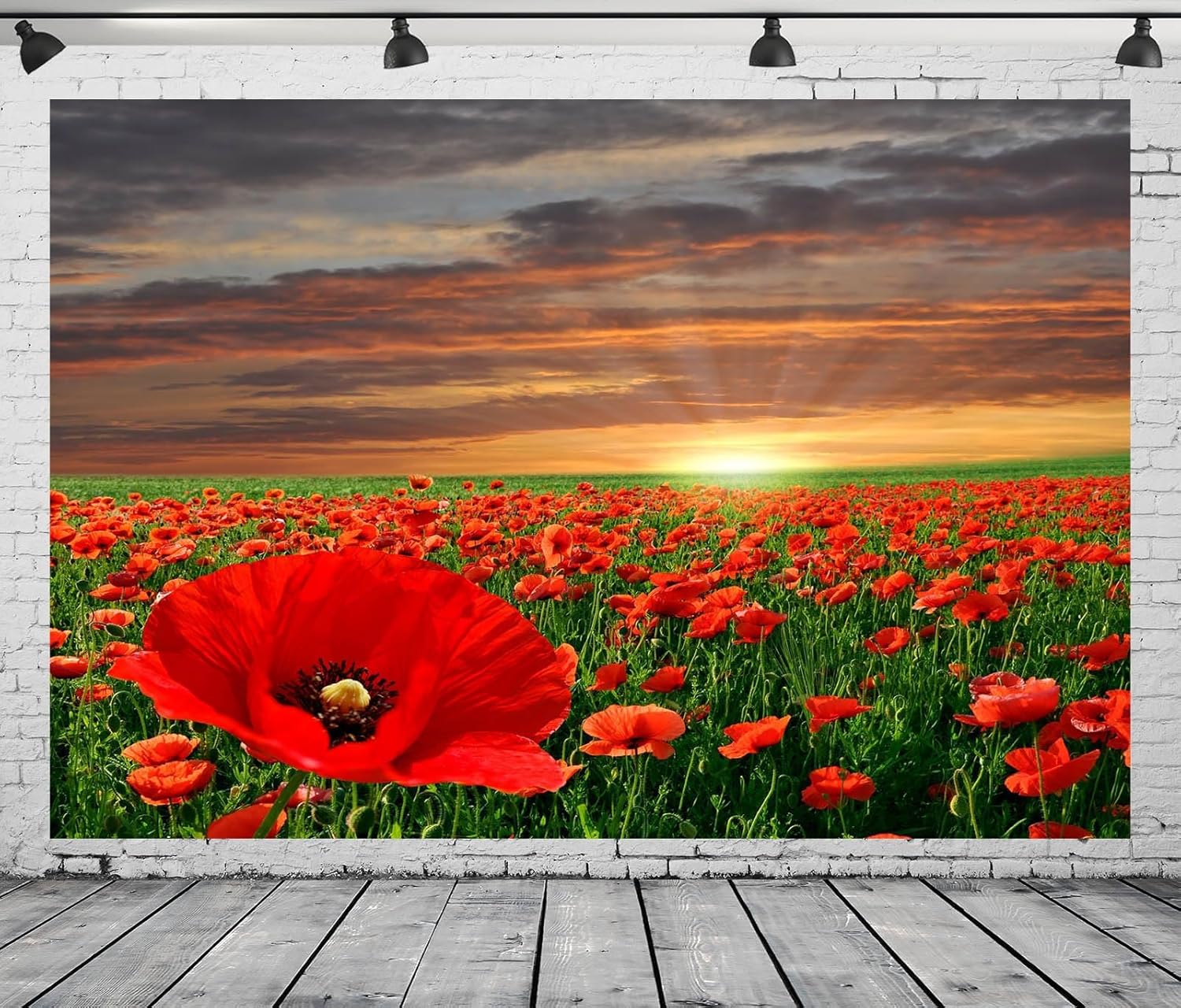 Amazon.com : CORFOTO 8x6ft Fabric Red Poppies Backdrop Flower Field at ...