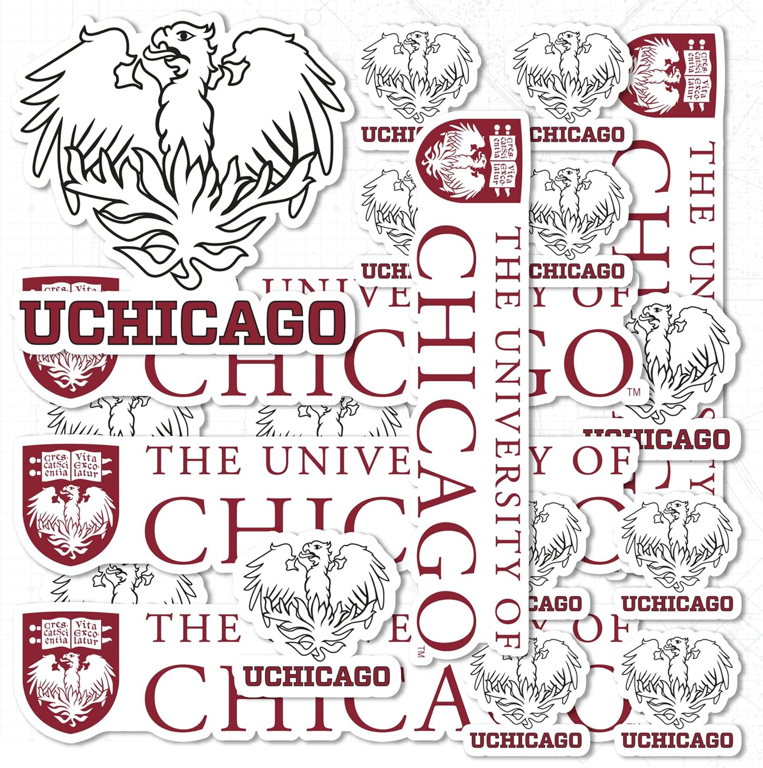 Amazon.com: Desert Cactus The University of Chicago Sticker UChicago ...