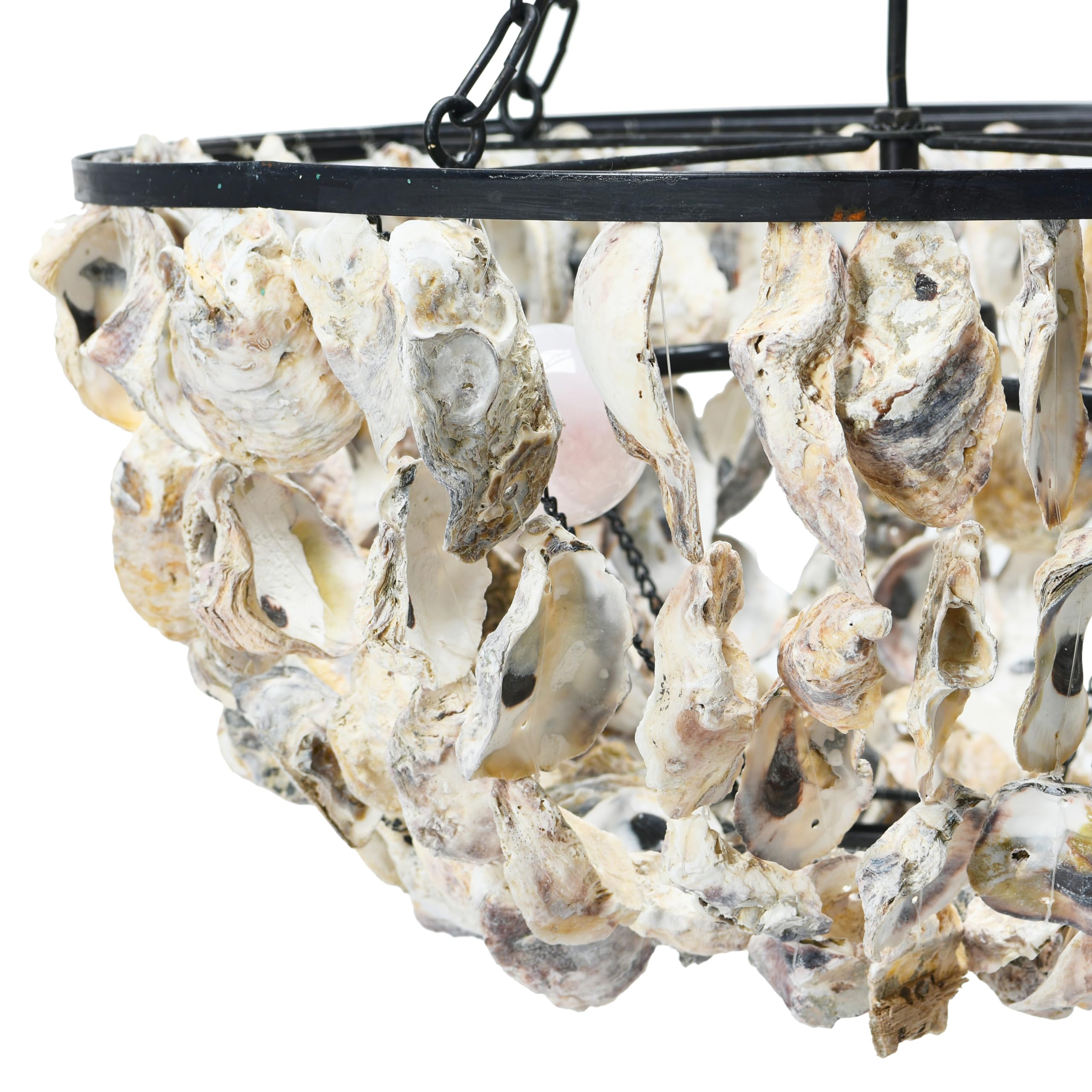Oyster Shell Light Fixtures Oyster Shell Chandelier Loluma
