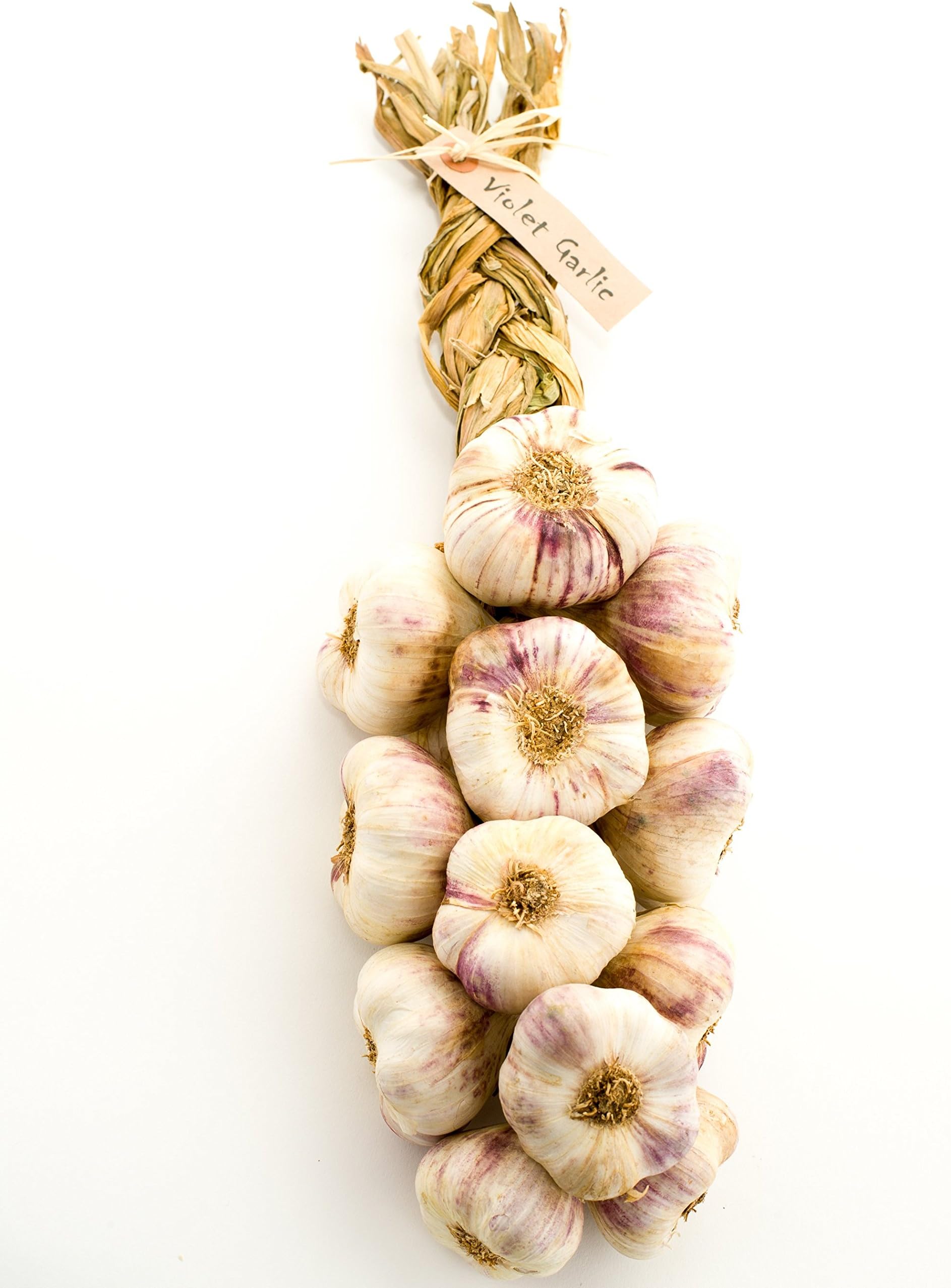 Purple Garlic String 1kg : Amazon.co.uk: Grocery