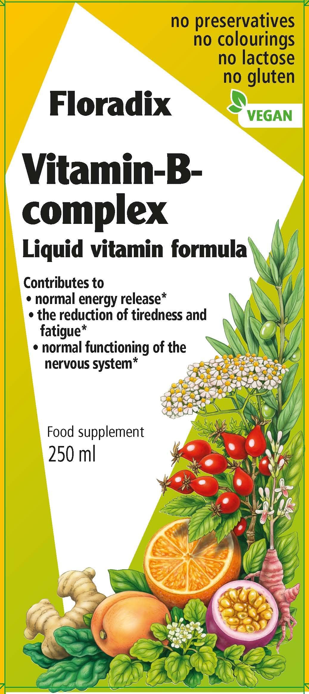 Amazon.com: Floradix Vitamin B Complex Liquid Formula, 250 ml : Health ...