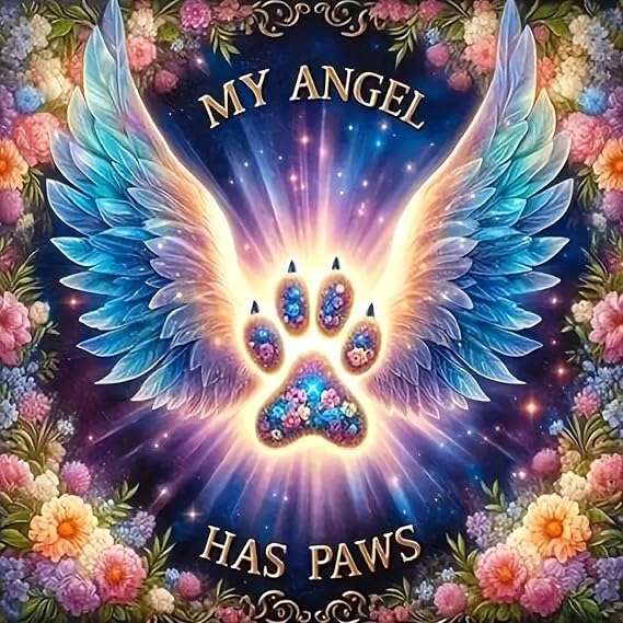 Amazon.com: MOMDEDP 5D Angel Diamond Painting Kits for Adults, Angel ...