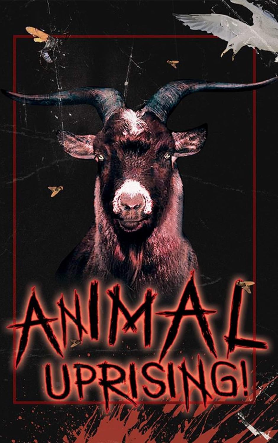 Amazon.com: Animal Uprising! eBook : Mellon, Michelle, Turton, David ...