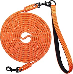 Amazon.com : Boswany Long Leash for Small Dogs, 8FT/12FT/20FT/30FT/50FT ...
