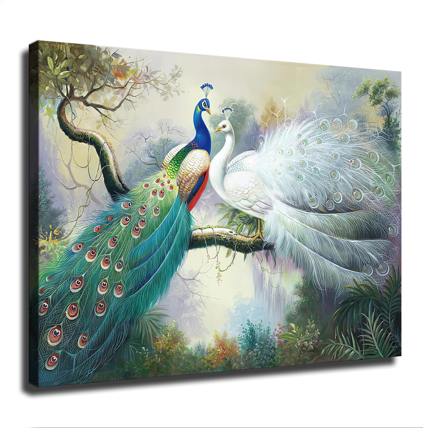Amazon.com: Peacock Blue and White Peacock Picture-Birds Animal Forest ...