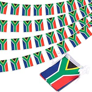 Amazon.com : South Africa String Flag Pennant Banner, Small Mini South ...