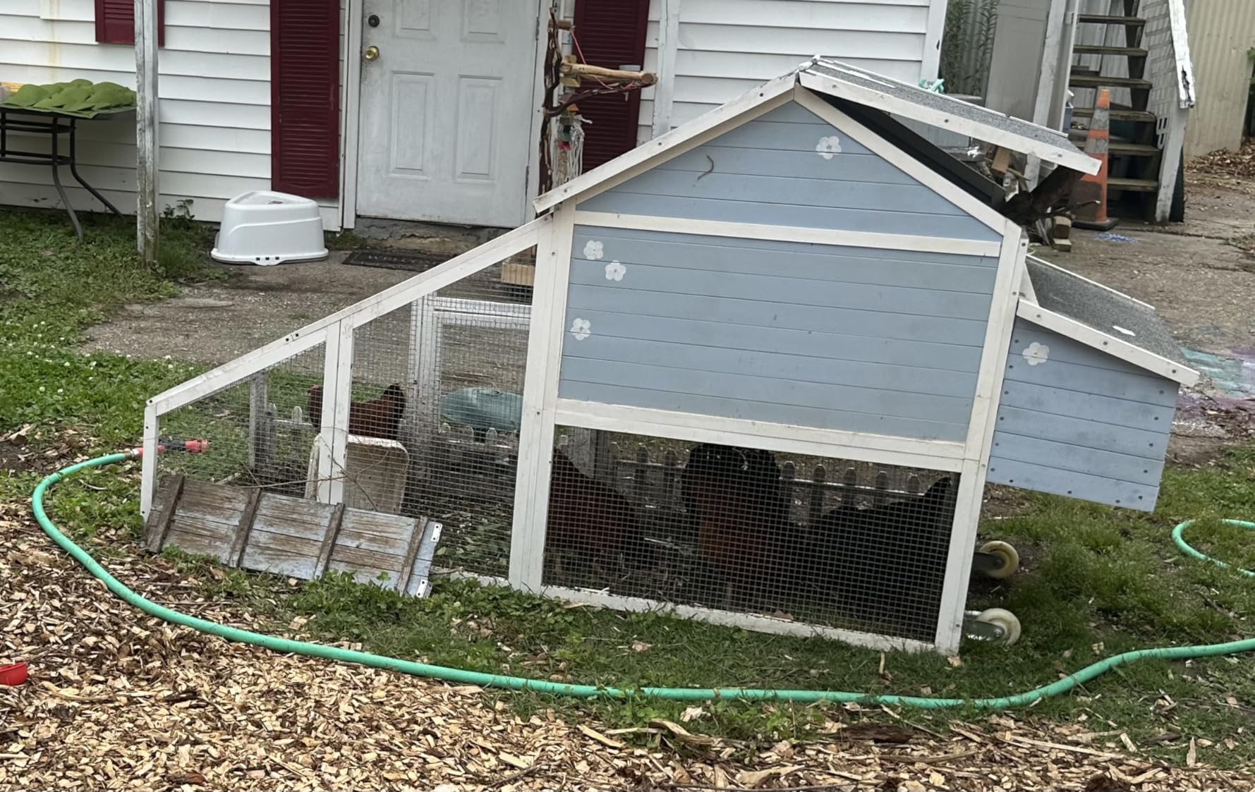 $33/mo - Finance Pathosio Chicken Coop - Outdoor & Indoor Chicken Coops ...