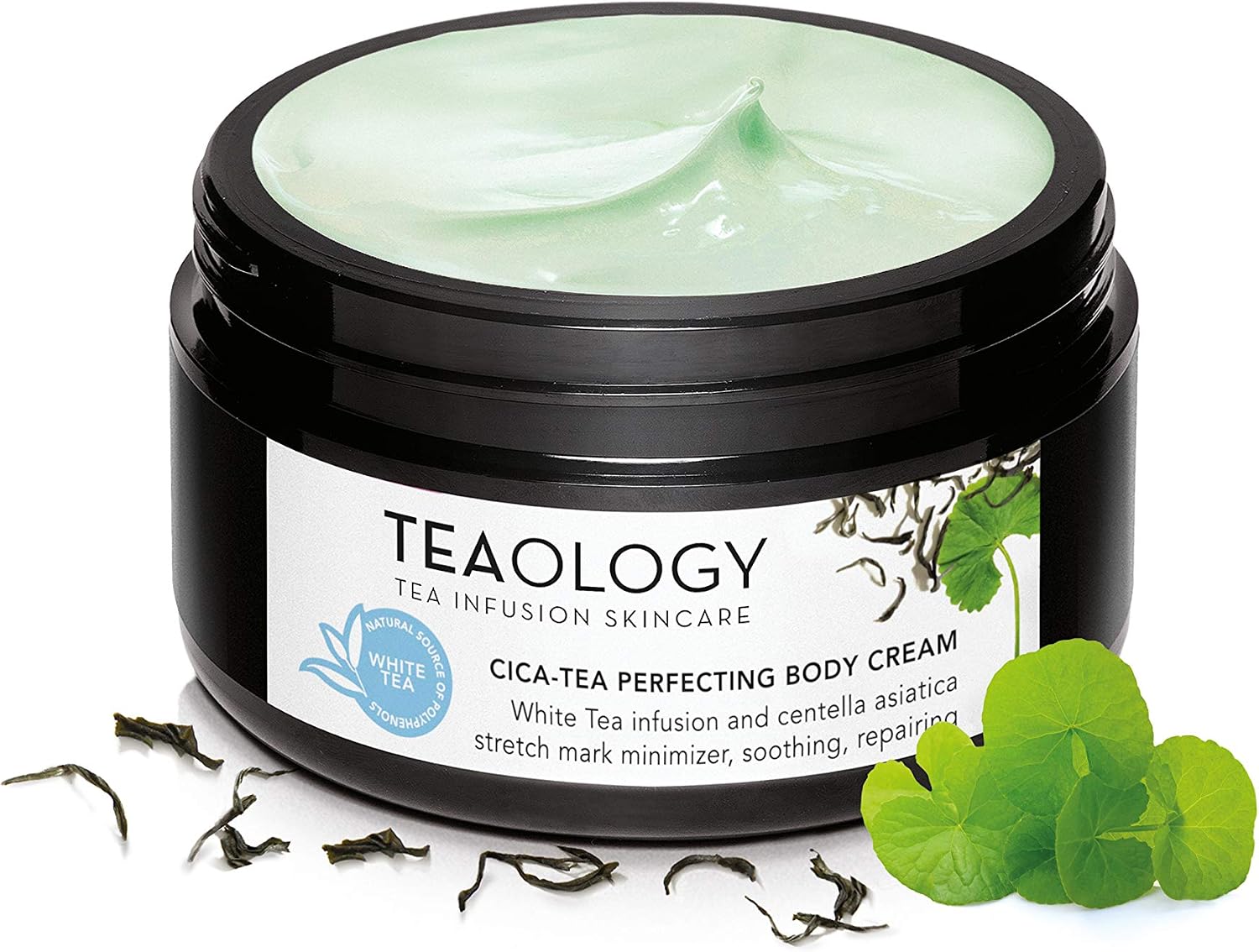 Teaology Cica-Tea Perfecting Body Cream 300 ml : Amazon.co.uk: Beauty