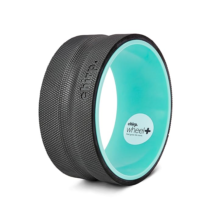 Buy Plexus Chirp Wheel for Back Pain, Stretches and Strengthens Core ...