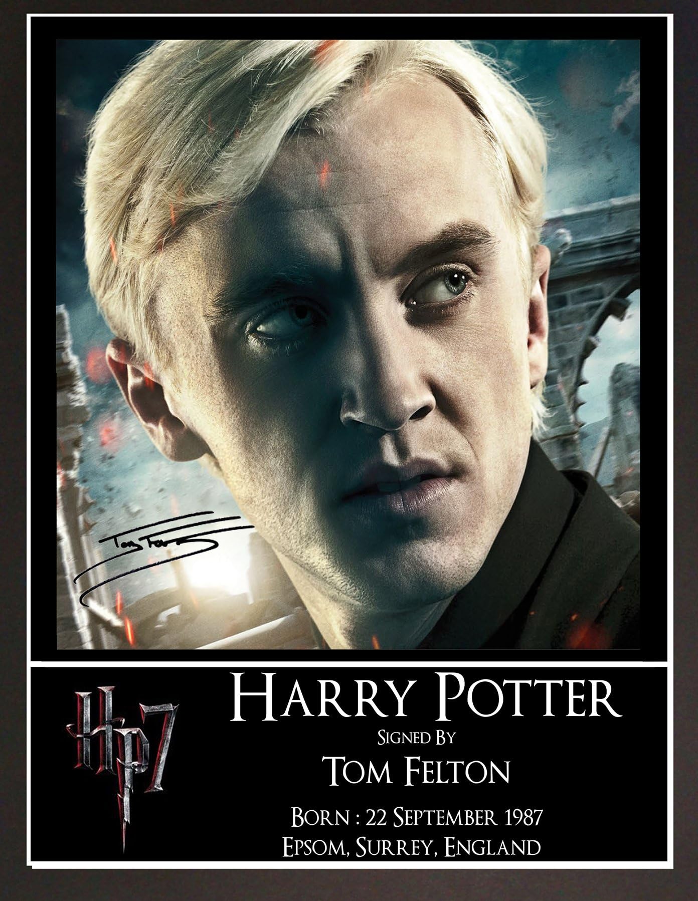 Harry Potter : Draco Malfoy/Tom Felton Signed Mounted Photo Print ...