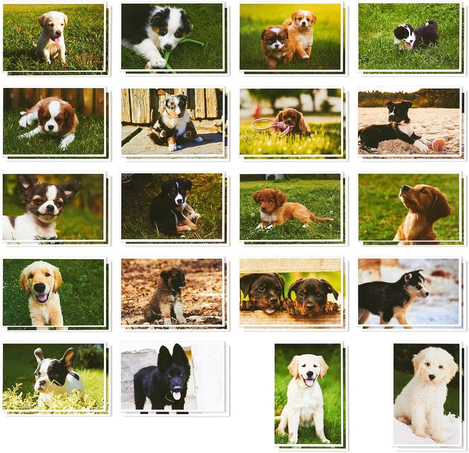 Amazon.com: BEST PAPER GREETINGS 40 Pack Puppy Dog Postcards Bulk Set ...
