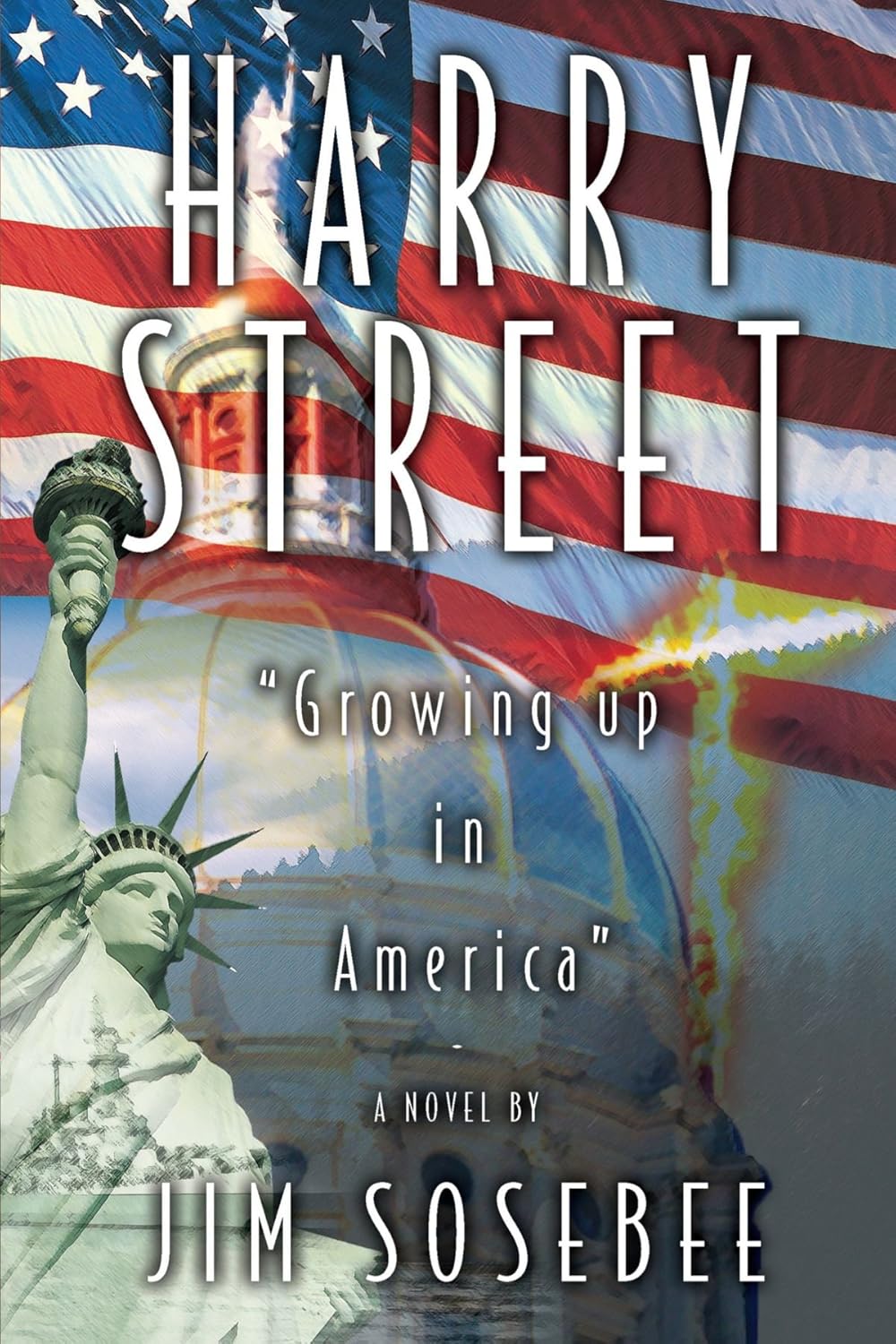 Harry Street: Growing Up in America: Sosebee, Jim: 9781425113117 ...