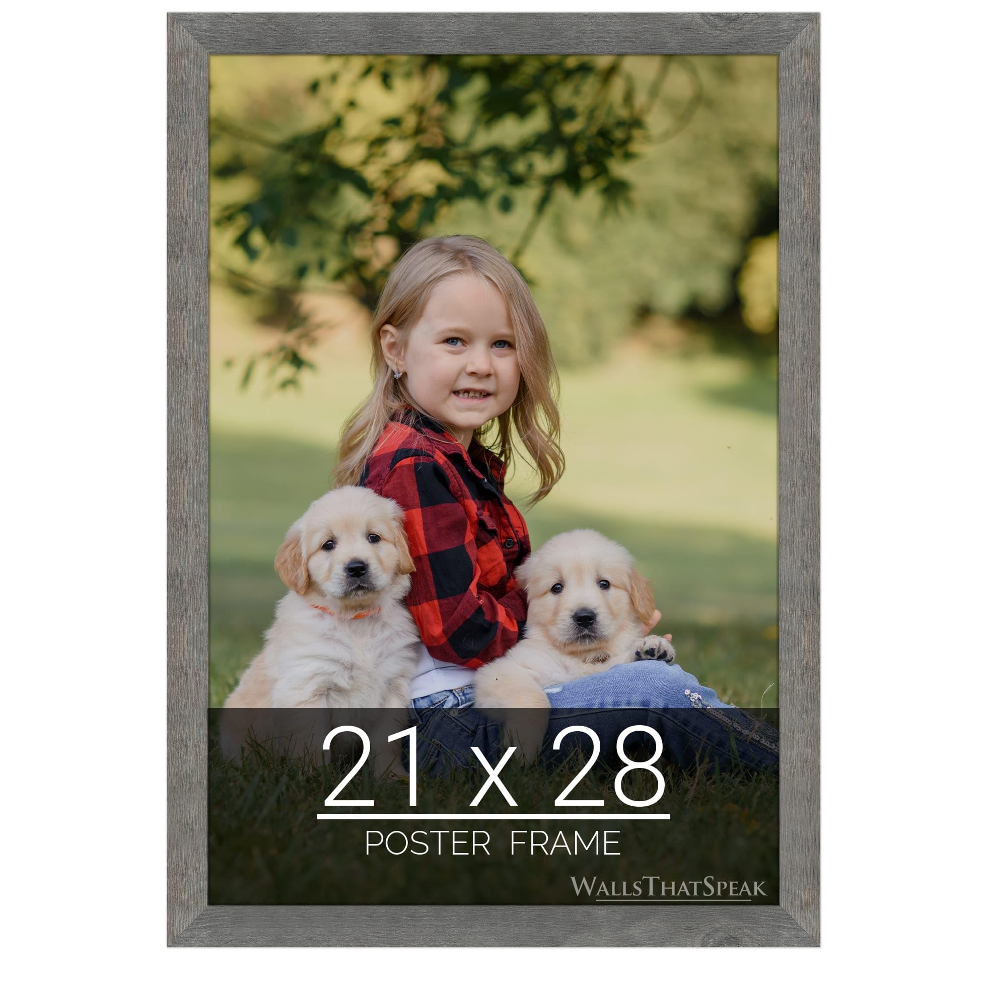 Amazon.com - wallsthatspeak 21x28 American Barn Picture Frame for ...