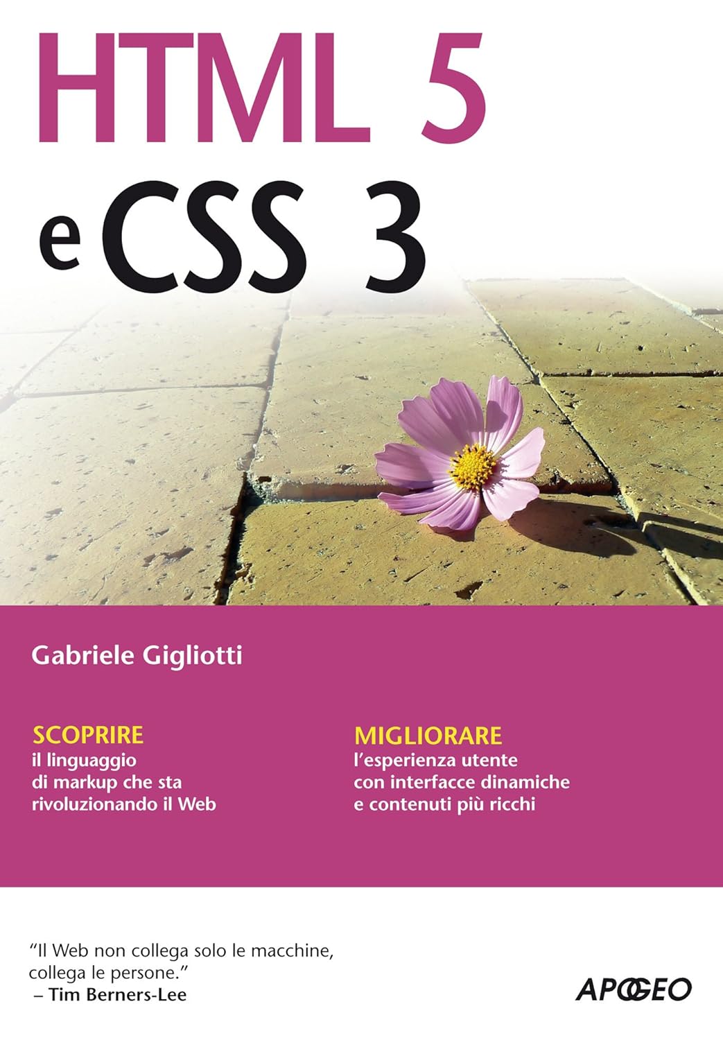HTML5 e CSS3 (Programmare con HTML e CSS) eBook : Gigliotti, Gabriele: Amazon.it: Kindle Store