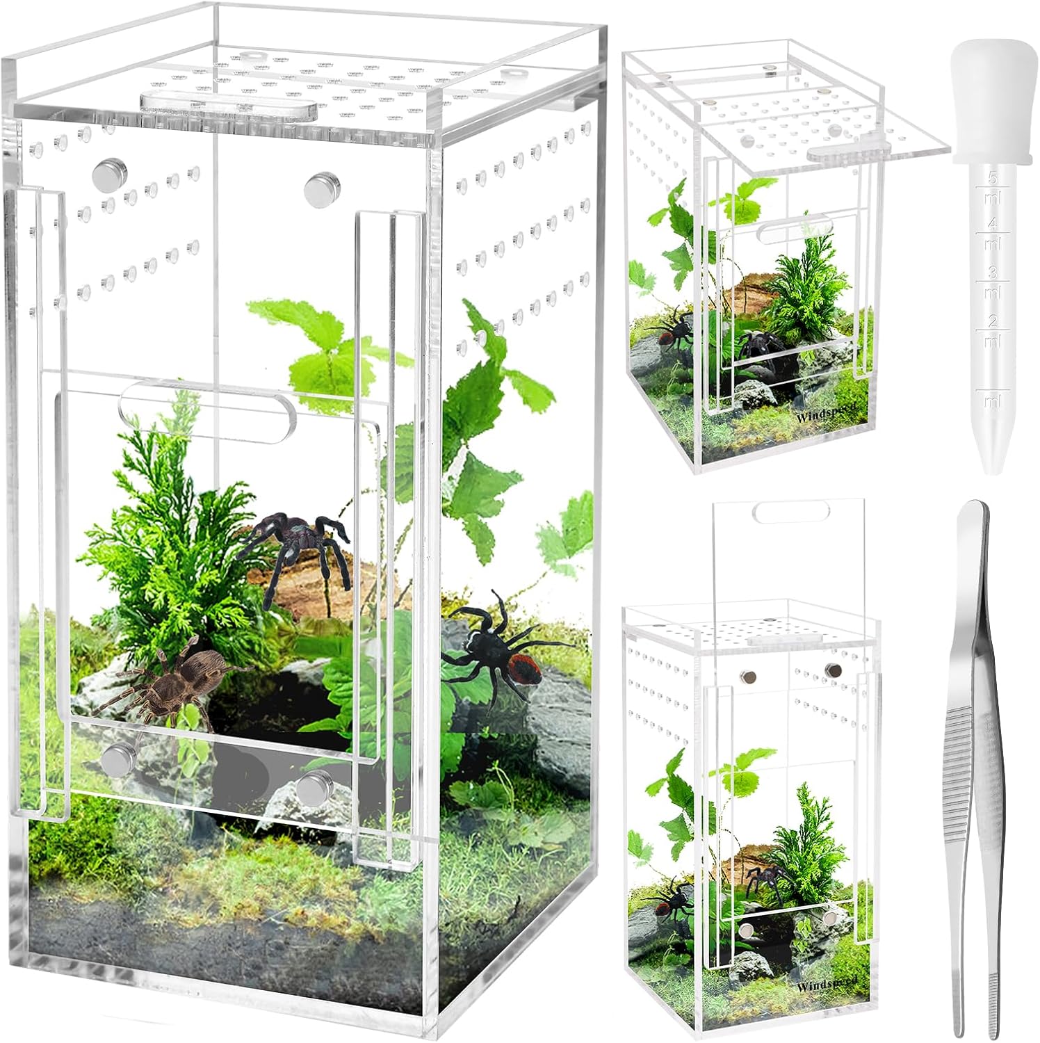 Amazon.com : Mini Spider Enclosure, Windspeed 3x3x6’’ Acrylic Terrarium ...