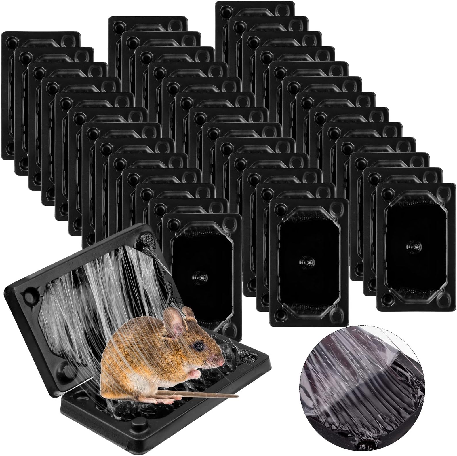 Amazon.com : 40 Pcs Baited Mouse Trap, Glue Traps, Adhesive Rat Trap ...