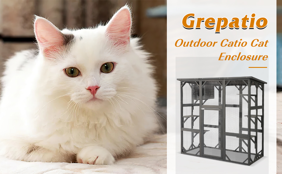 Watch Cat catio installation video on Amazon Live