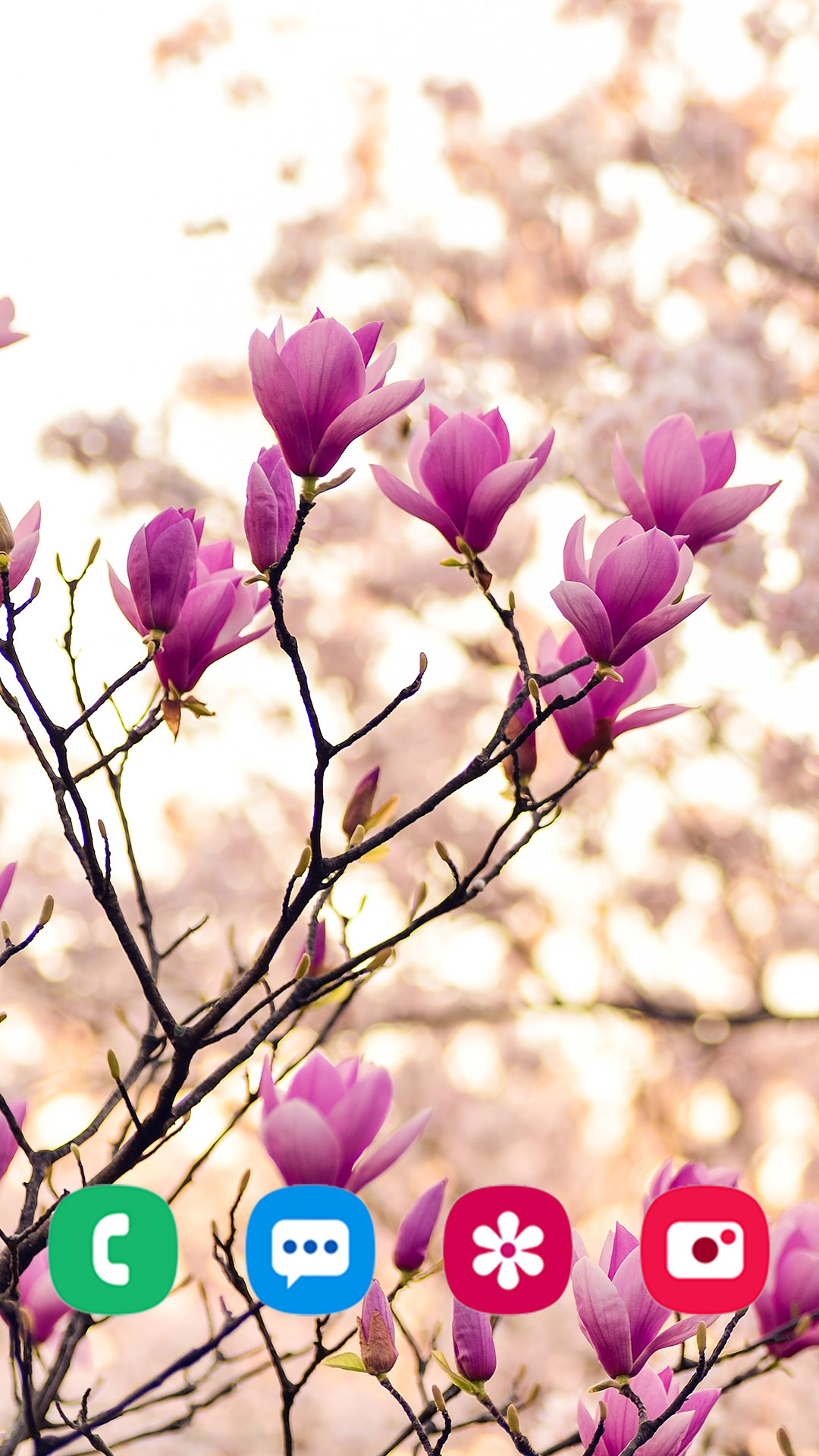 Spring Wallpapers - App on Amazon Appstore