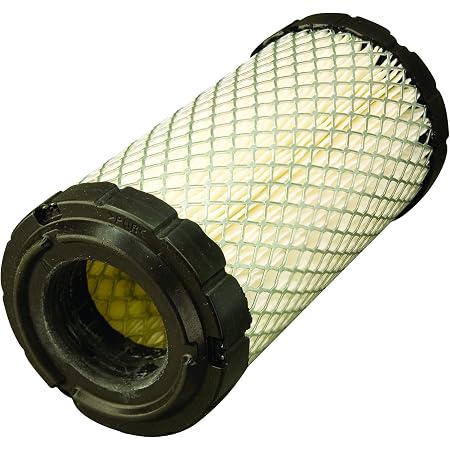 Amazon.com: Briggs & Stratton 790166 Oval Air Filter Cartridge : Automotive