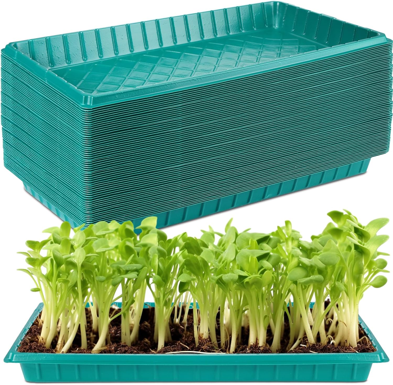 Amazon.com : Tioncy 50 Pcs Plant Growing Trays 21" x 11'' Microgreens ...