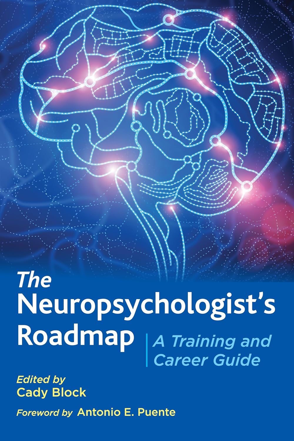 The Neuropsychologist's Roadmap: A Training and Career Guide : Block PH ...