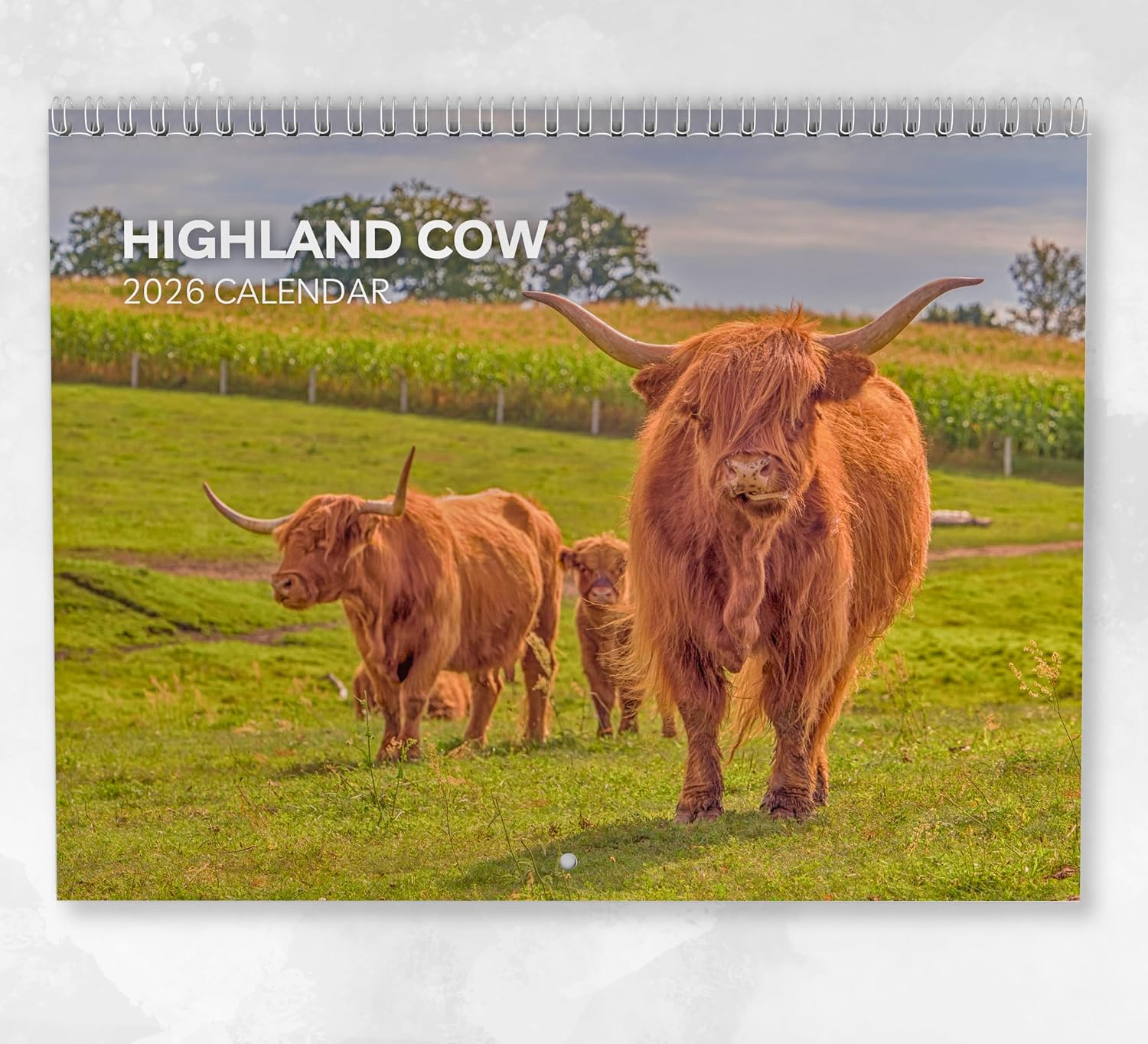 Highland Cow Calendar 2026: Monthly Wall Calendar with Notes, Hanging ...