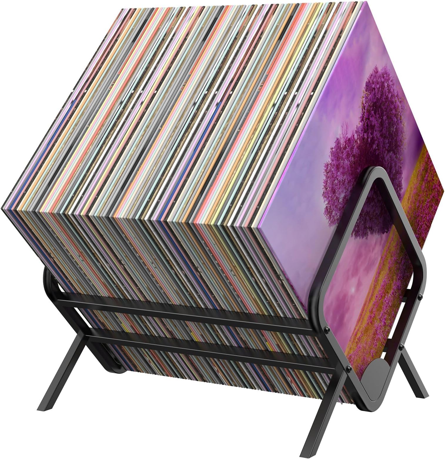 Amazon.com: HBTMJMY Vinyl Record Storage Holder, 10 Slots Metal Display ...