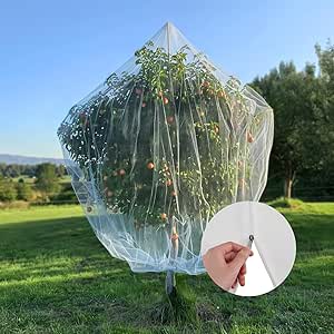 Amazon.com : 2 Pcs Fruit Tree Netting with Zipper & Drawstring, 6ft x 6ft Insect & Bird Netting ...