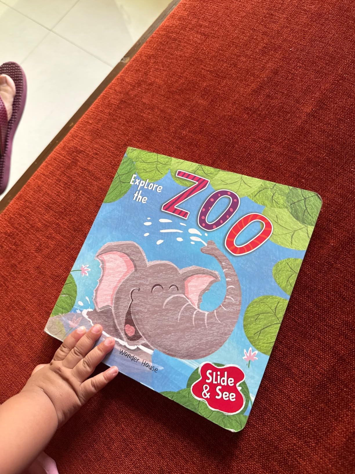 Slide And See - Explore The Zoo : Sliding Novelty Board Book For Kids ...
