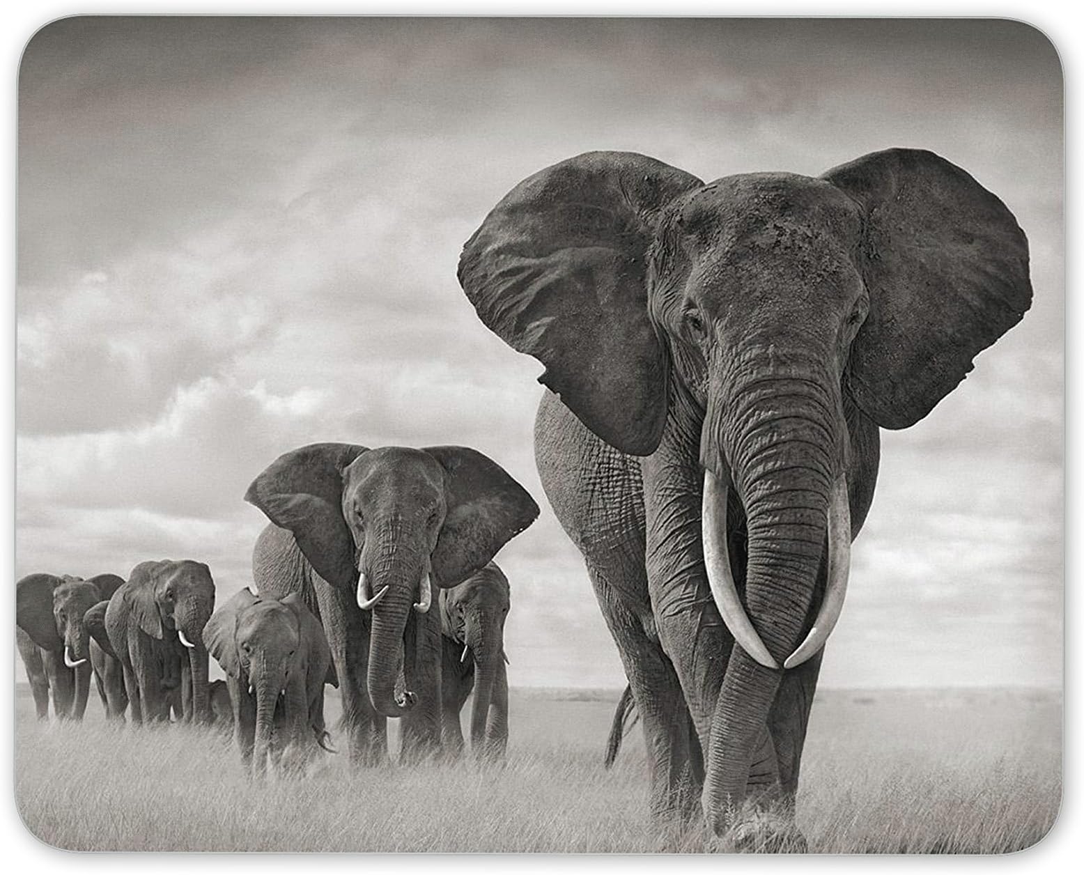 Destination Vinyl ltd Colourful Indian Style Elephants Mouse Mat Pad ...