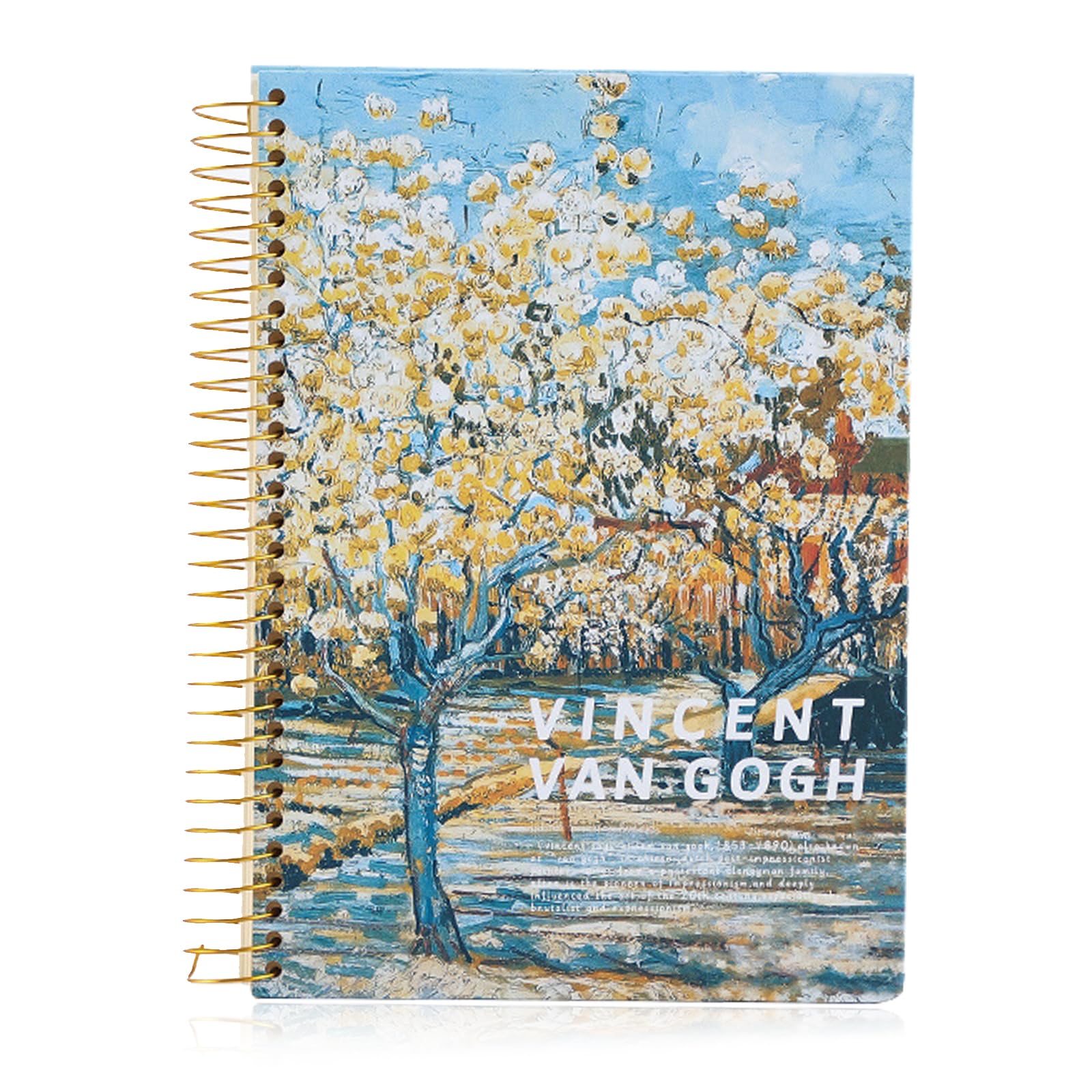 DALOMGZL Wirebound Spiral B5 Notebook, Notebooks 300 pages/150 Sheets ...