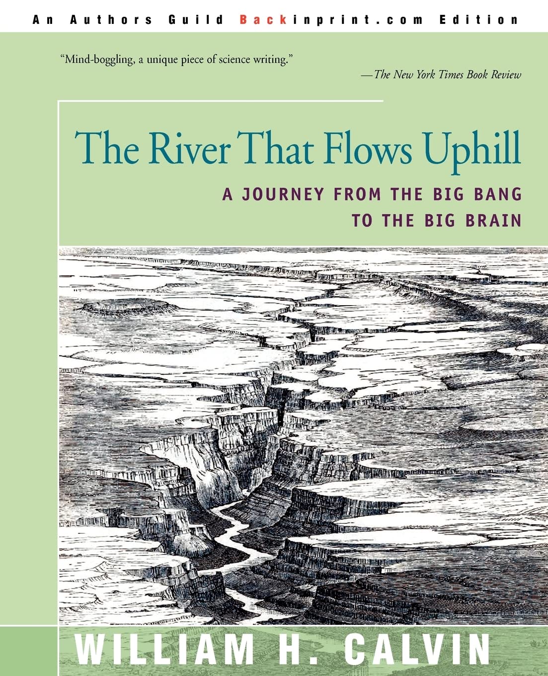 The River That Flows Uphill: A Journey from the Big Bang to the Big ...