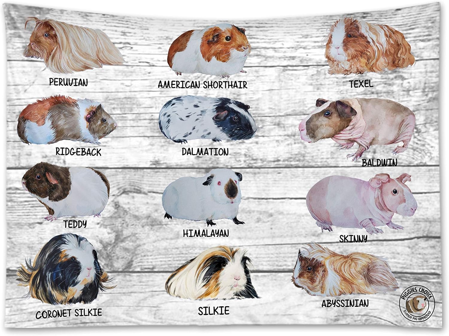 Guinea Pig Breed | ubicaciondepersonas.cdmx.gob.mx