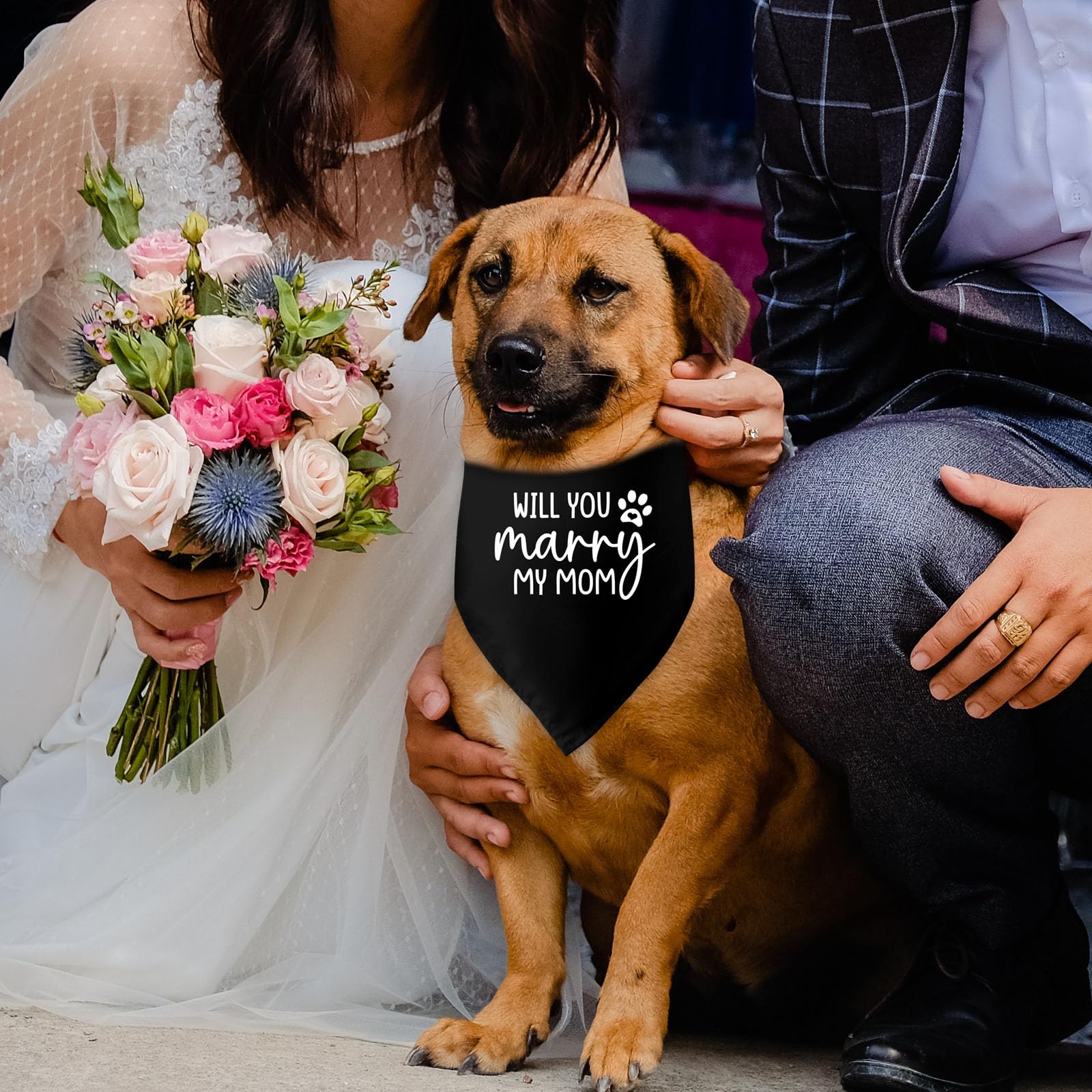 Dog wedding bandana 60 photos - Astyledwedding.com