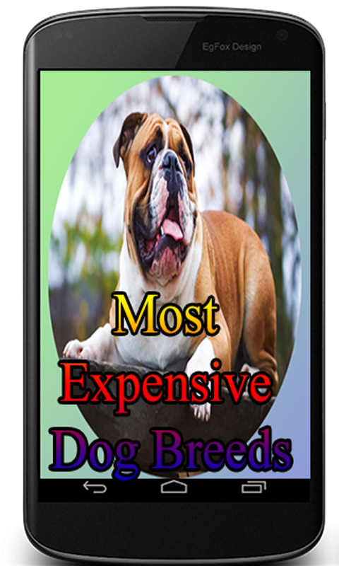 Most Expensive Dog Breeds - App on Amazon Appstore