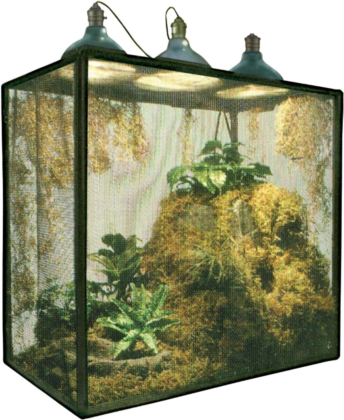 Amazon.com : Apogee 65 Gallon Reptarium : Reptile Houses : Pet Supplies