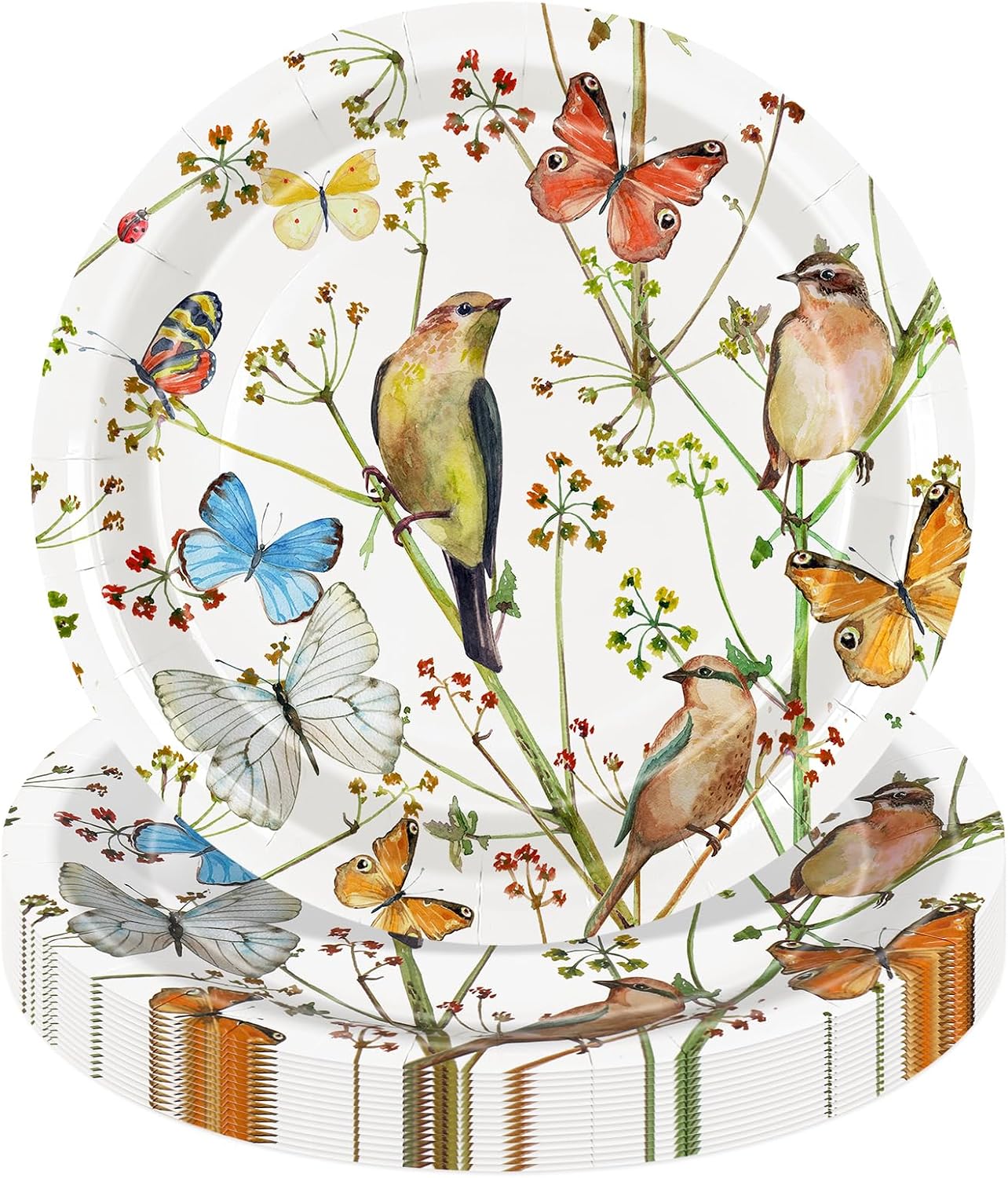 Amazon.com: 50 Pcs Bird Paper Plates Watercolor Bird Butterfly Flower ...