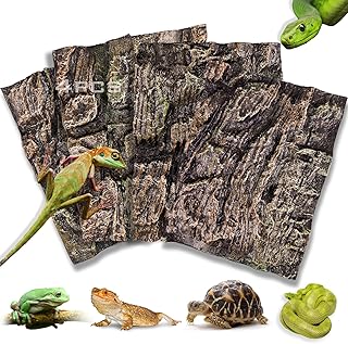 Customizing Turtle Graphics: Setting Background Color In Python | PetShun