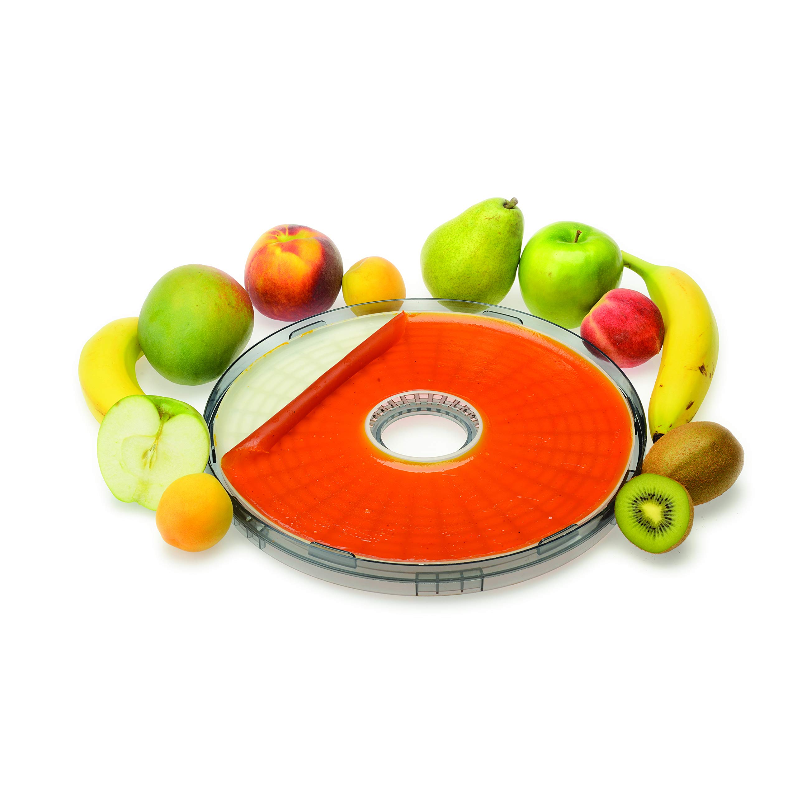 Snapklik.com : Salton VitaPro, Electric Preserver For Fruit, Jerky ...