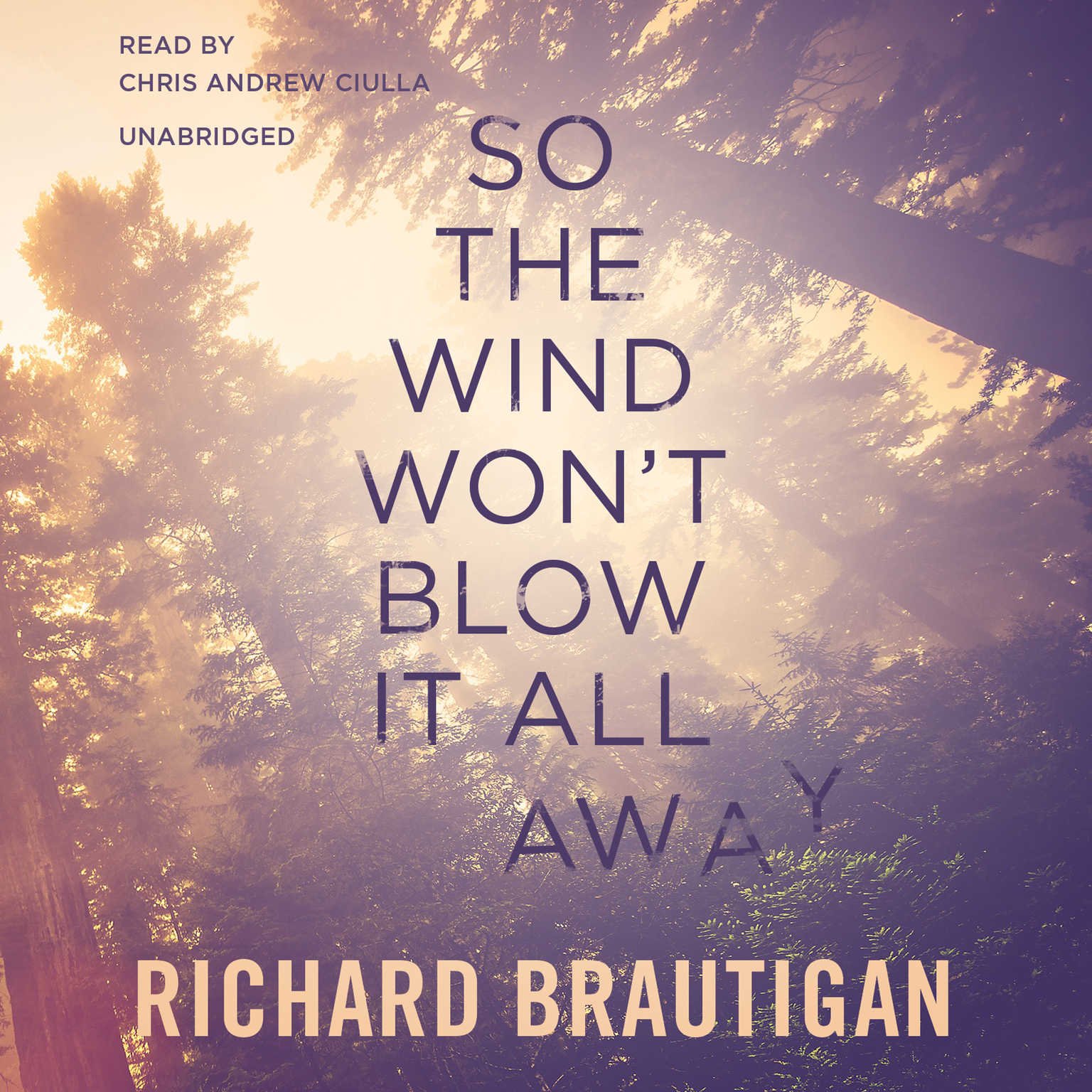 Amazon.com: So the Wind Won't Blow It All Away: 9781504759922 ...
