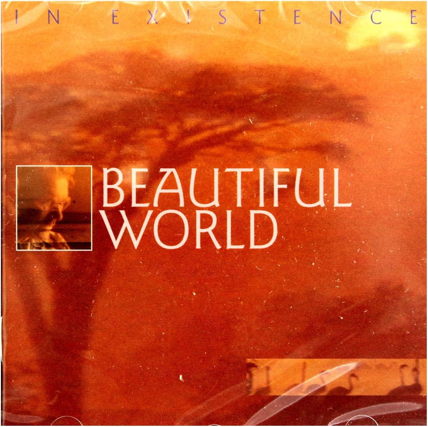 Amazon.co.jp: In Existence: ミュージック