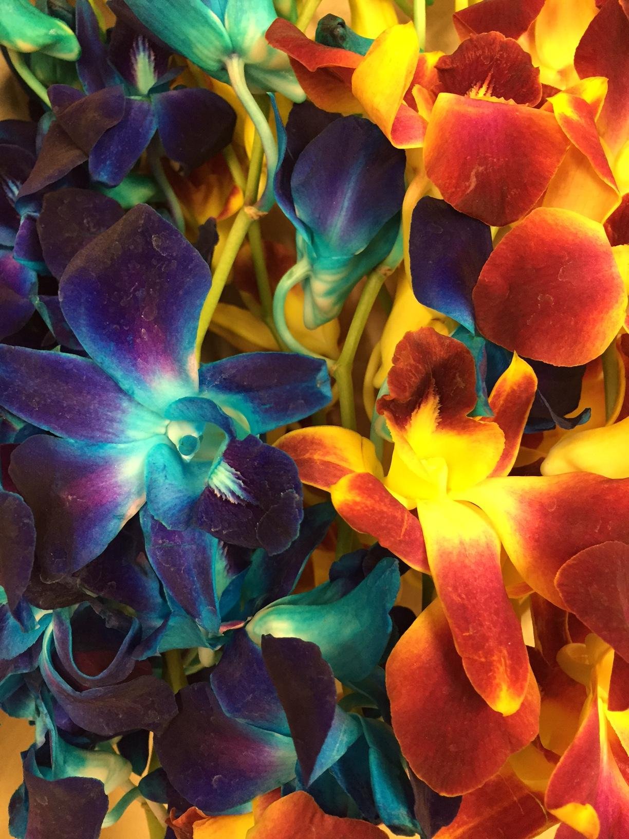 Blue Dendrobium Orchids Tattoo